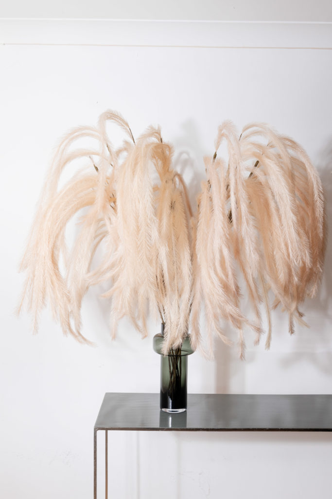 Artificial feather, beige - Signature Editions
